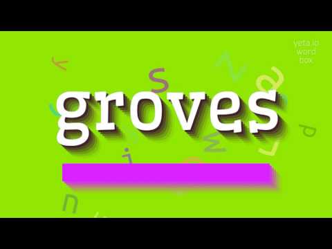 How to say "groves"! (High Quality Voices)