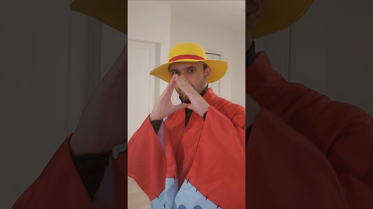 One Piece | Luffy Has A Visitor