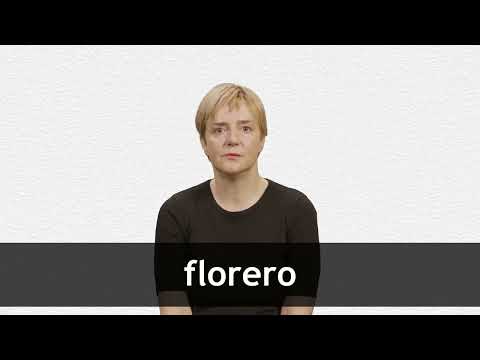 Traducción en inglés de “FLORERO” | Collins Diccionario español-inglés