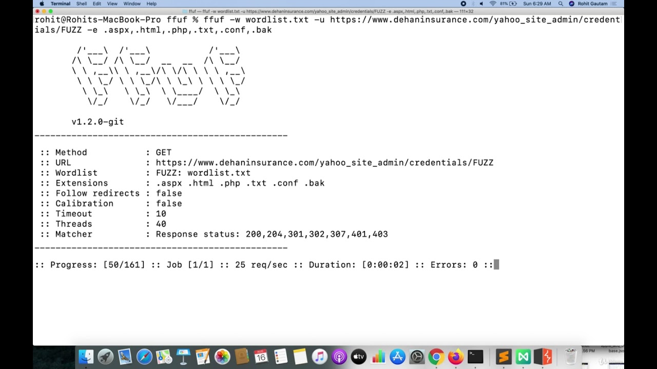 80  FFUF Directory Fuzzing with extensions