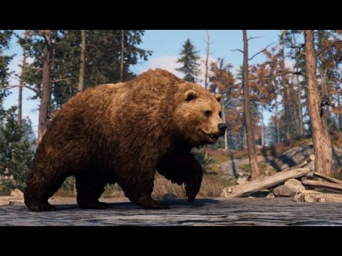 Steam Community :: Video :: Best Way To Kill A Bear In Rust Before You ...
