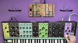 Ciat Lonbarde Cocoquantus 2 - What To Know & Where To Buy | Equipboard