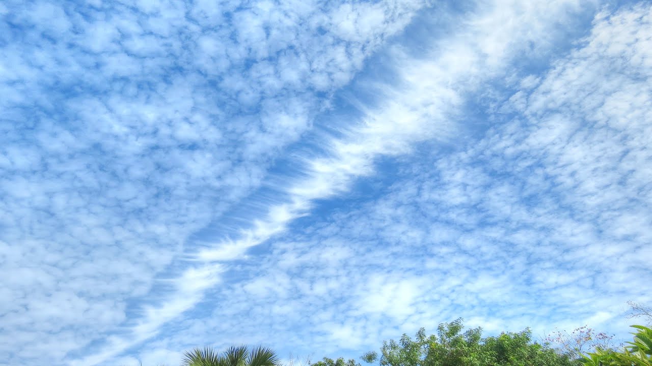 The Oikofuge: Fall Streaks