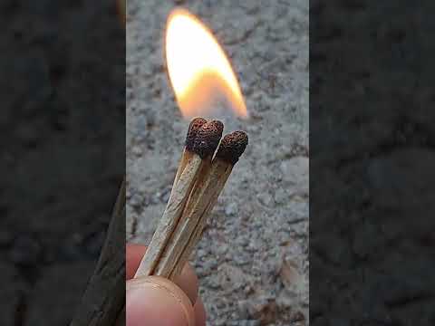 Combustion Reaction