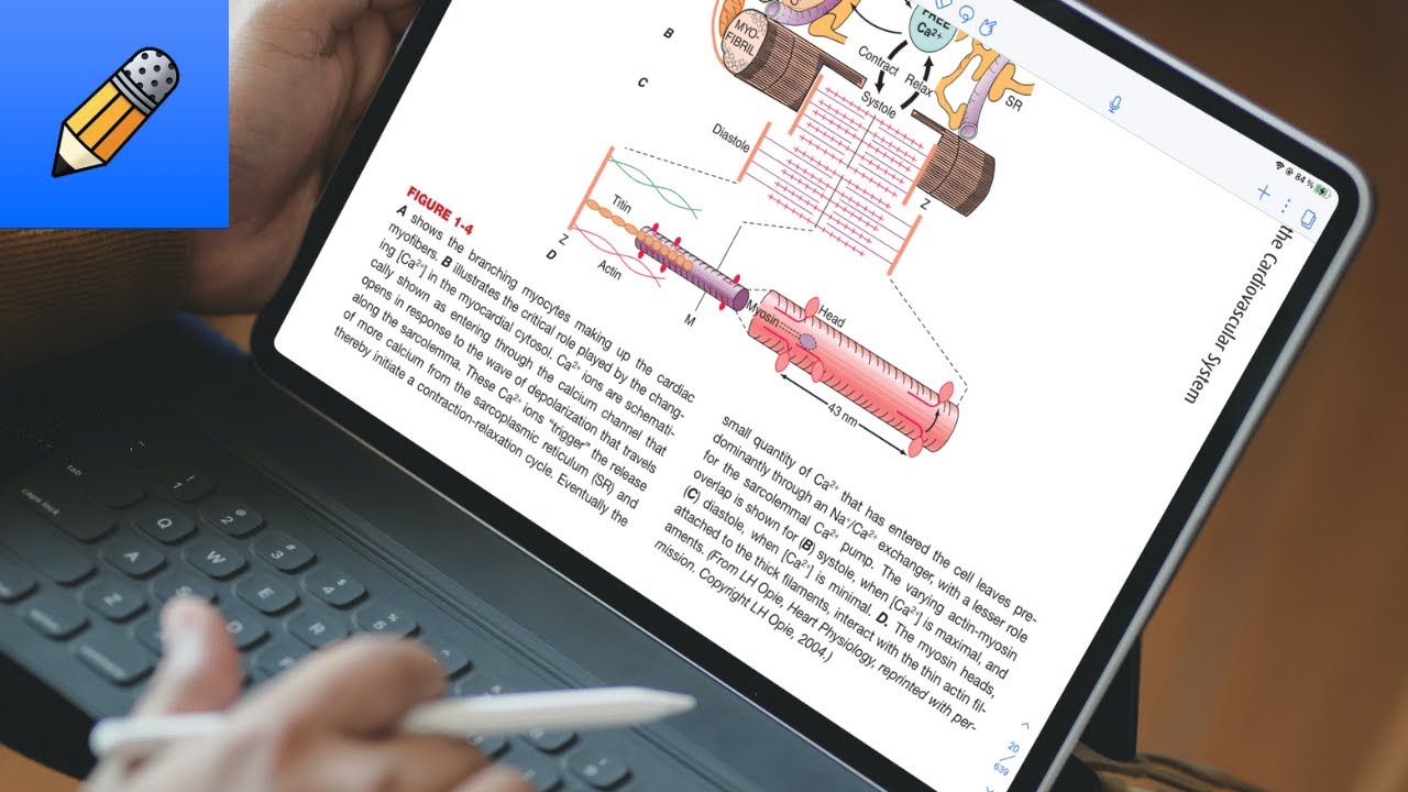 Notability as a PDF reader in 2023 | what you need to know