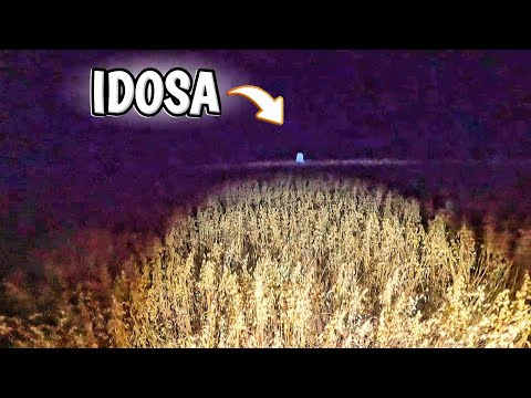 A IDOSA DO PLANTIO DEU RUIM - CAÇADORES DE MISTÉRIO