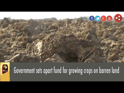 Government sets apart fund for growing crops on barren land