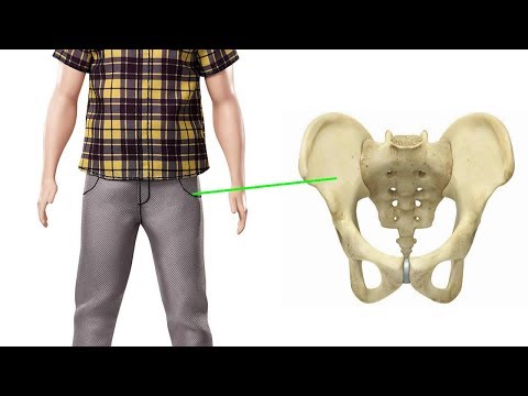 American Sign Language ASL Video Dictionary - hip