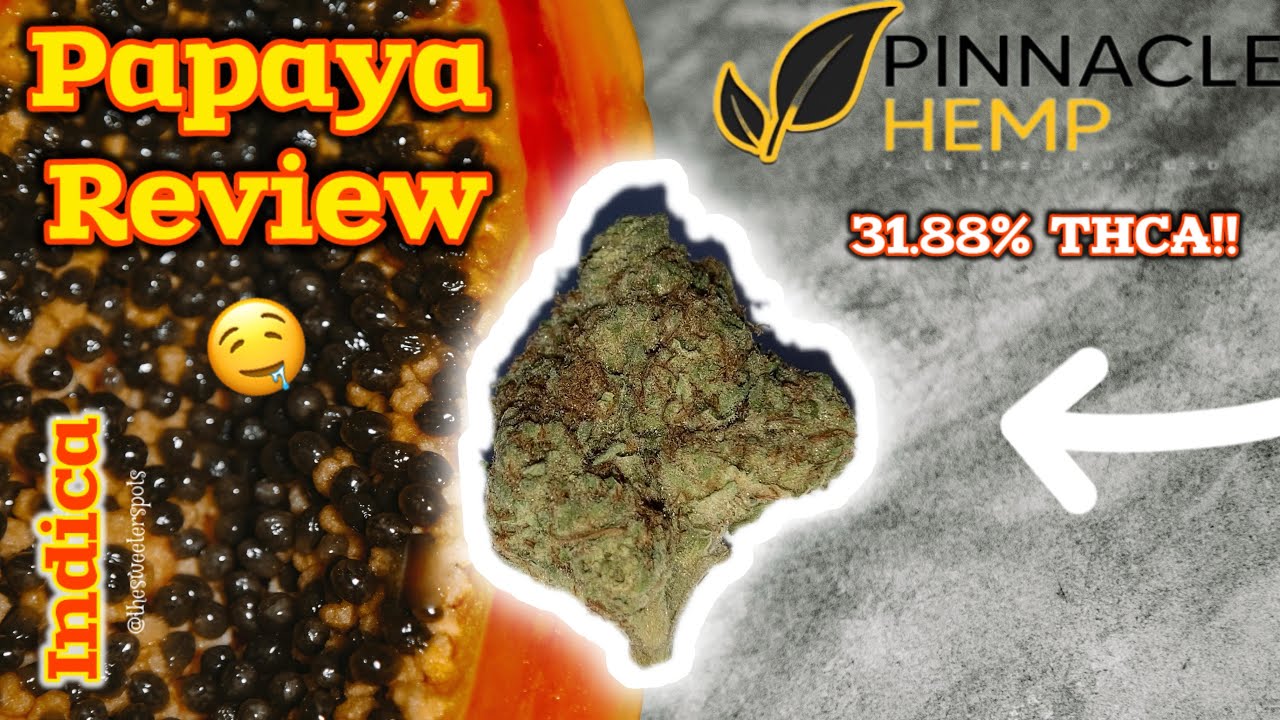 Papaya THCA Flower by Pinnacle Hemp