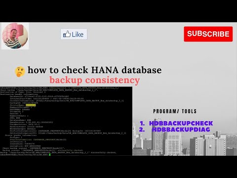 HANA DB backup consistency check tools | HDBBACKUPCHECK | HDBBACKUPDIAG