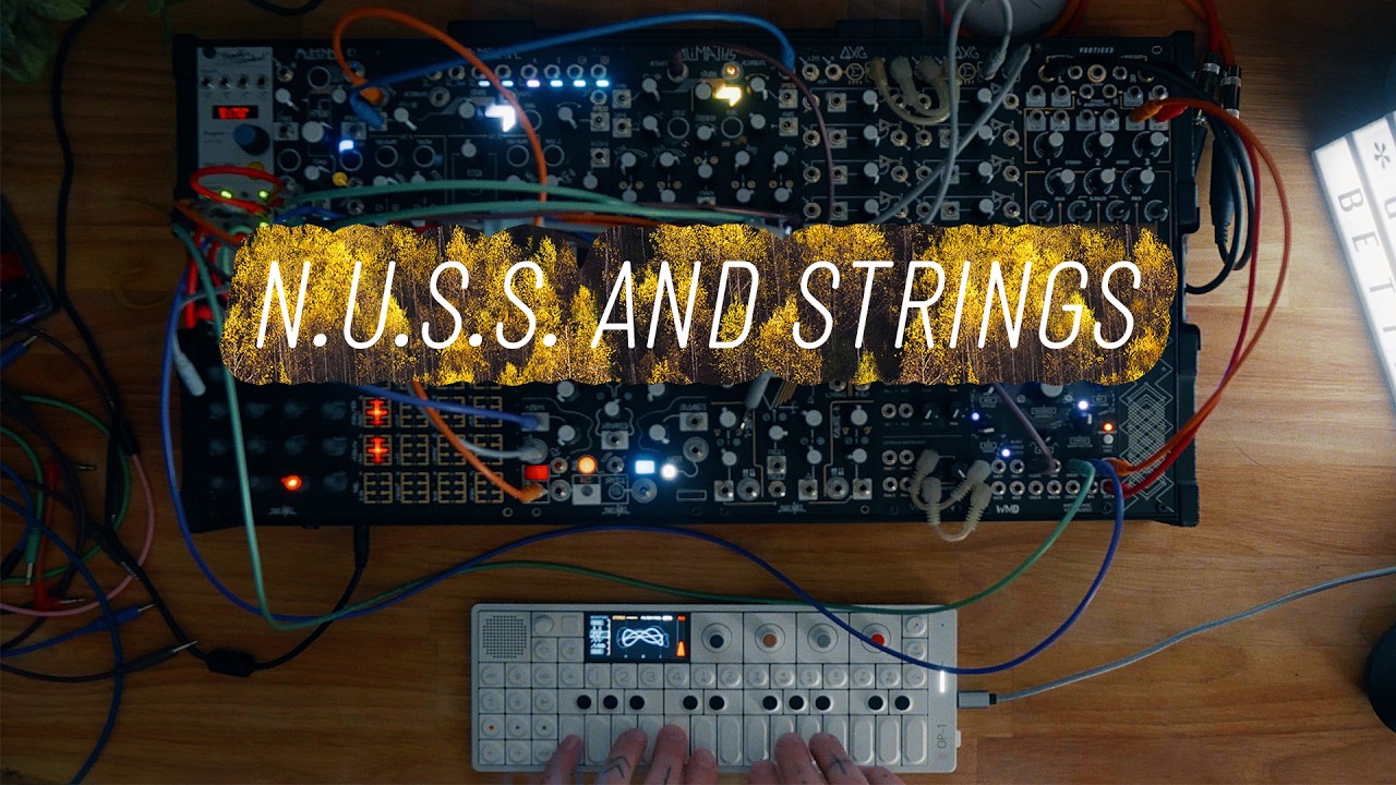 Make Noise N.U.S.S. System and Strings