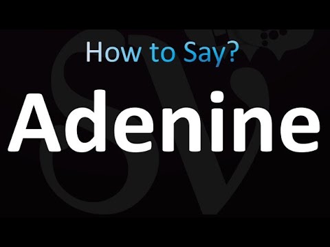 How to Pronounce Adenine (correctly!)