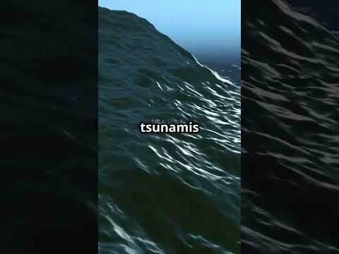 "Hurricane vs. Tsunami: What’s the Difference?"