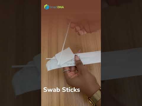 What is Inside a DNA Test Kit?