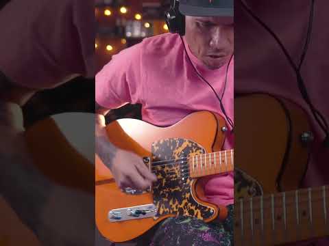 Eastwood Mad Cat #eastwoodguitars