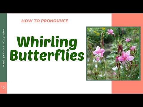 How to Say Whirling Butterflies In British English