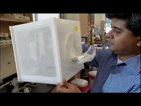 UC Riverside Center for Disease Vector Research