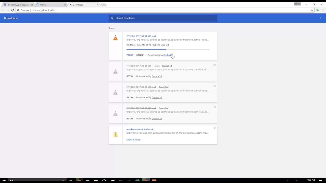 GeckoDM Demonstration