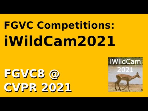 FGVC8: iWildCam2021