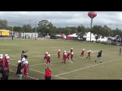 8U Triad Elite Storm (NC)-20 vs. 8U Westside Wildcats (FL)-12
