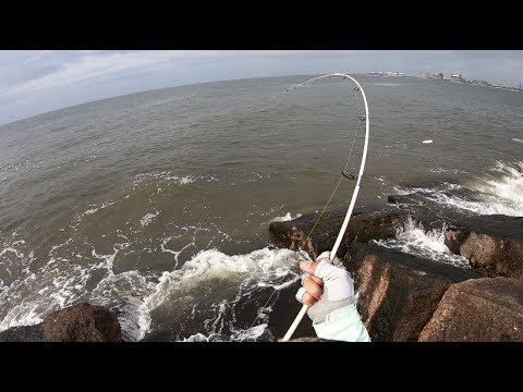 (S2 Ep99) This huge fish bottomed out my 30# Boga! Freeport Texas Jetties