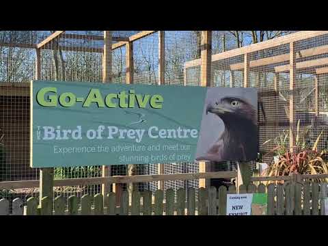 The Bird of Prey Centre