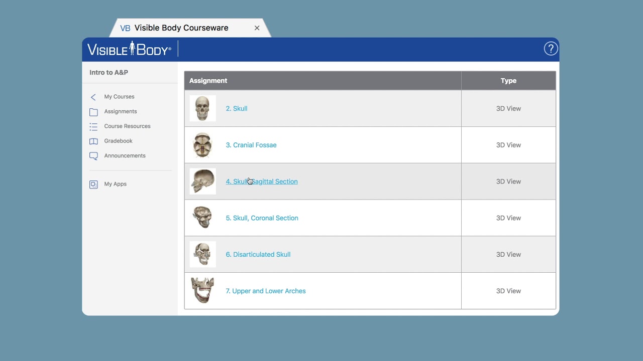 Complete Lesson Assignments | Visible Body Courseware