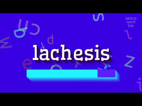 How to say "lachesis"! (High Quality Voices)