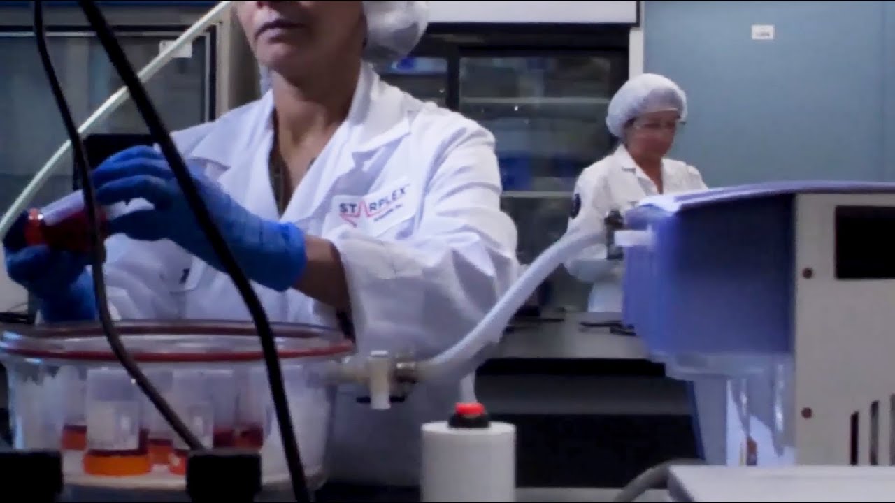 Starplex - Discover The Difference