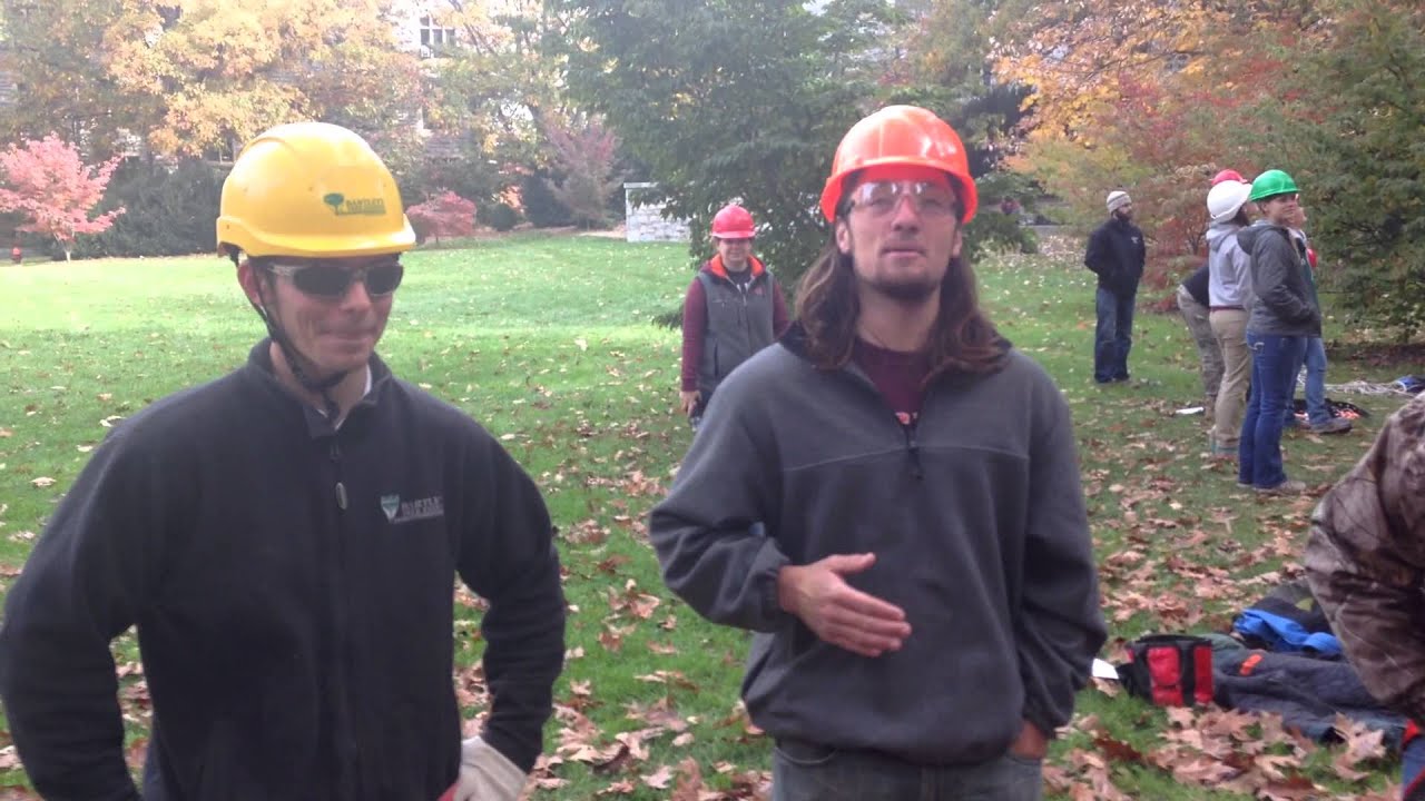 Tree Climbing Virginia Tech Urban Forestry Program