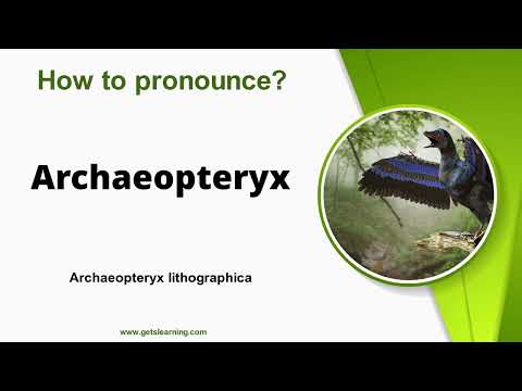 How to pronounce Archaeopteryx Correctly in English