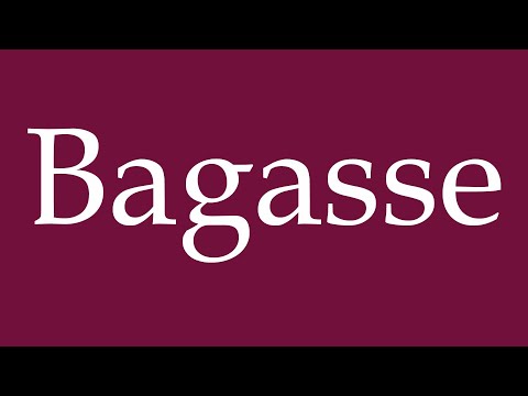 How to Pronounce ''Bagasse'' Correctly in German