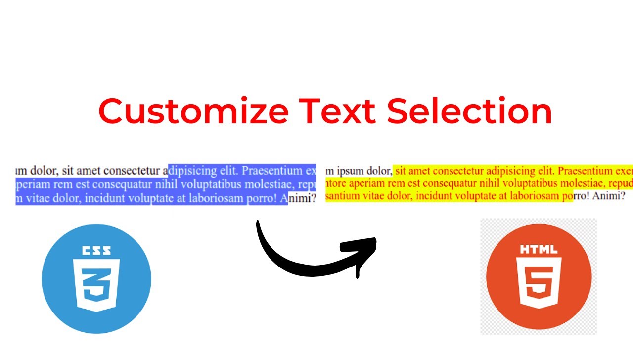 How To Customize Text Selection in CSS | CSS Text Selection