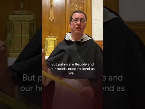 #Shorts Palm Sunday with Fr. Pier Giorgio, O.P.
