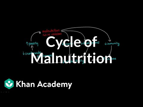 Cycle of Malnutrition - Medical Video Lecture - MBBS