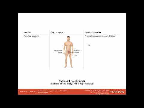 SCI 211 Medical Terminology Crash Course ch4
