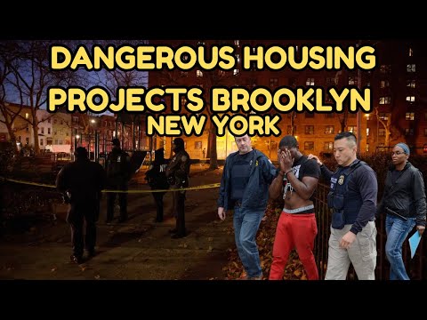 Inside New York’s Most Dangerous NYCHA Housing Projects (Brooklyn, 2025 Documentary)