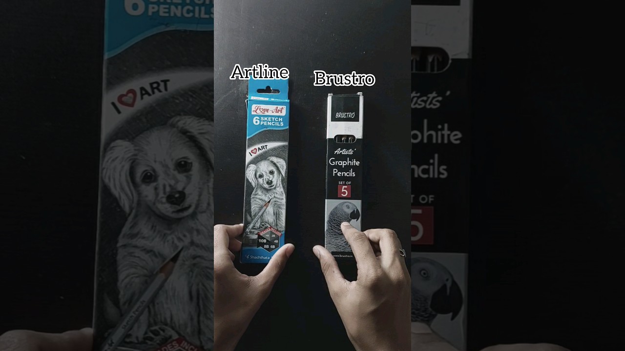 Artline and Brustro pencil //  @MITSHUART // #shortsfeed #art #sketch