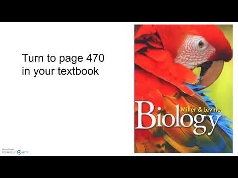 How to Complete Biology assignment: Analyzing Data Molecular Homology in Hoxc8
