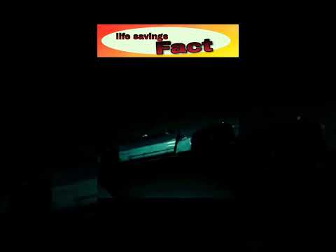 some fact that can save your life in bangla. #banglafacts #short #facts #youtubeshorts