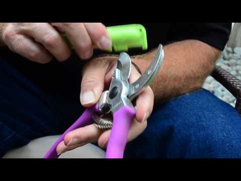 Will It Sharpen | Pruning Shears Quick
