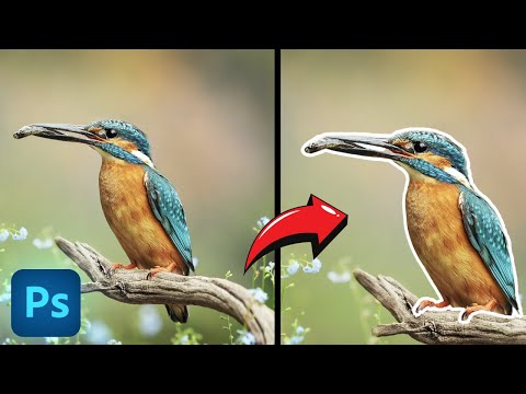 How to Add WHITE BORDER to Image in Photoshop (2025)