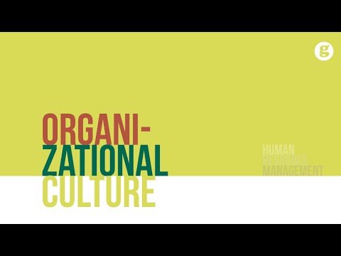 Organizational Culture