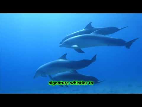 The Deep Blue Wonders: 10 Fascinating Facts About Aquatic Animals
