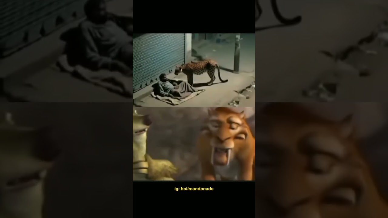 Shitposting compilation v29 short