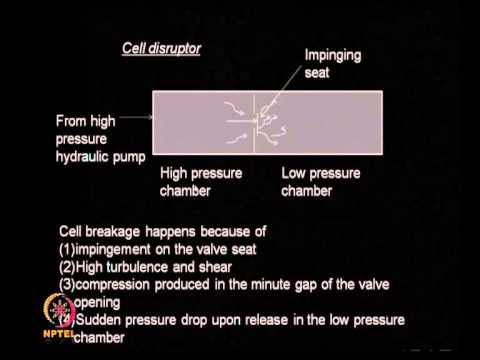 Cell Breakage Video Lecture - Biotechnology Engineering (BT)