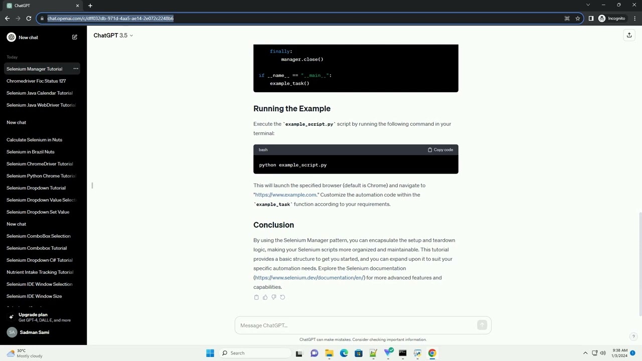 selenium manager in python