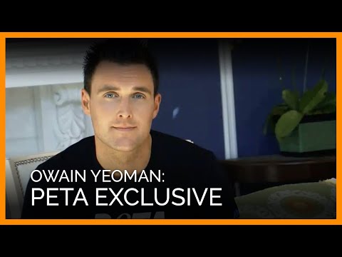 Owain Yeoman