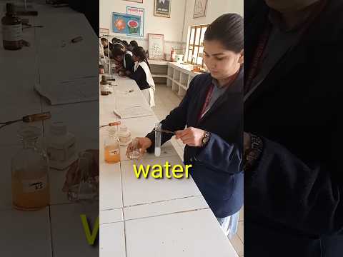 chemical reaction between Potassium iodide and lead nitrate #shorts #chemistryexperiments