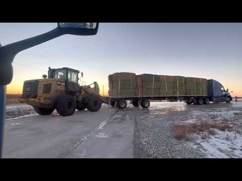 Unbelievable Icy Dairy Farm Delivery | Brother Gets Stuck On Ice!